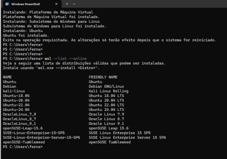 Como usar terminal Linux no Windows com WSL2 + Plugins avançados ...