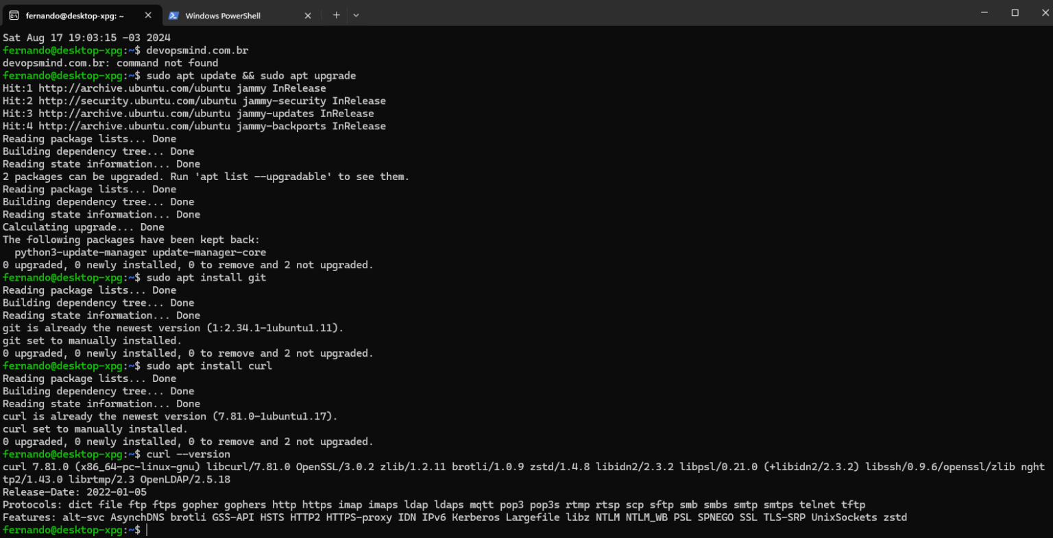 Como usar terminal Linux no Windows com WSL2 + Plugins avançados ...