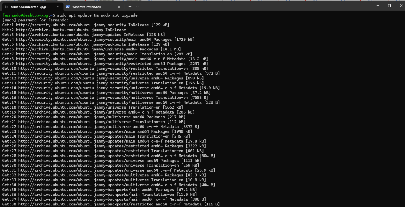 Como usar terminal Linux no Windows com WSL2 + Plugins avançados ...